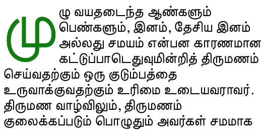 Tamil Layout Requirements