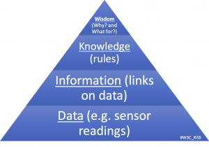 Climbing the DIKW pyramid – do we have everything we need? | Open ...